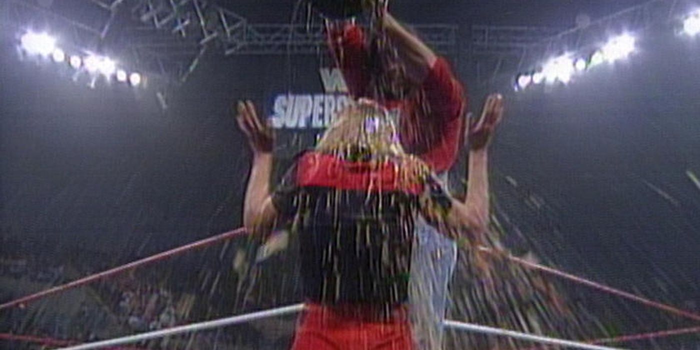 Most Embarrassing Things WWE's Sunny Ever Did