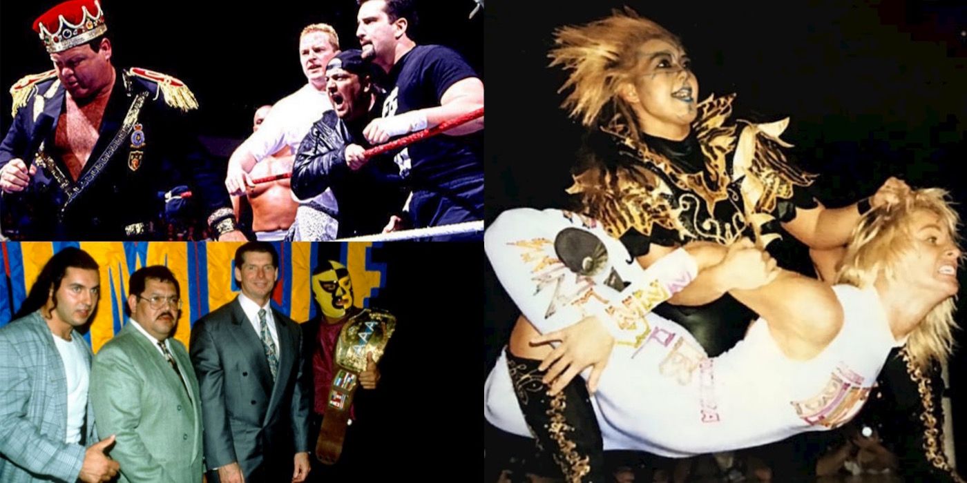 5 Best Wrestling Crossovers Of The 1990s (& 5 Worst)