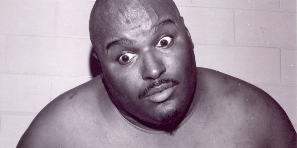 10 Best Wrestling Territory Heels Of The 1980s, Ranked