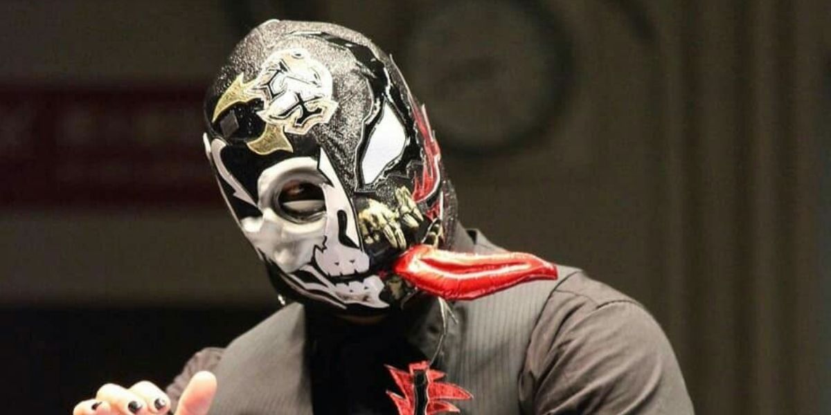 10 Crazy Japanese Wrestling Masks American Fans Have To See