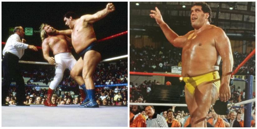 Andre The Giant's Body Transformation Over The Years, Told In Photos