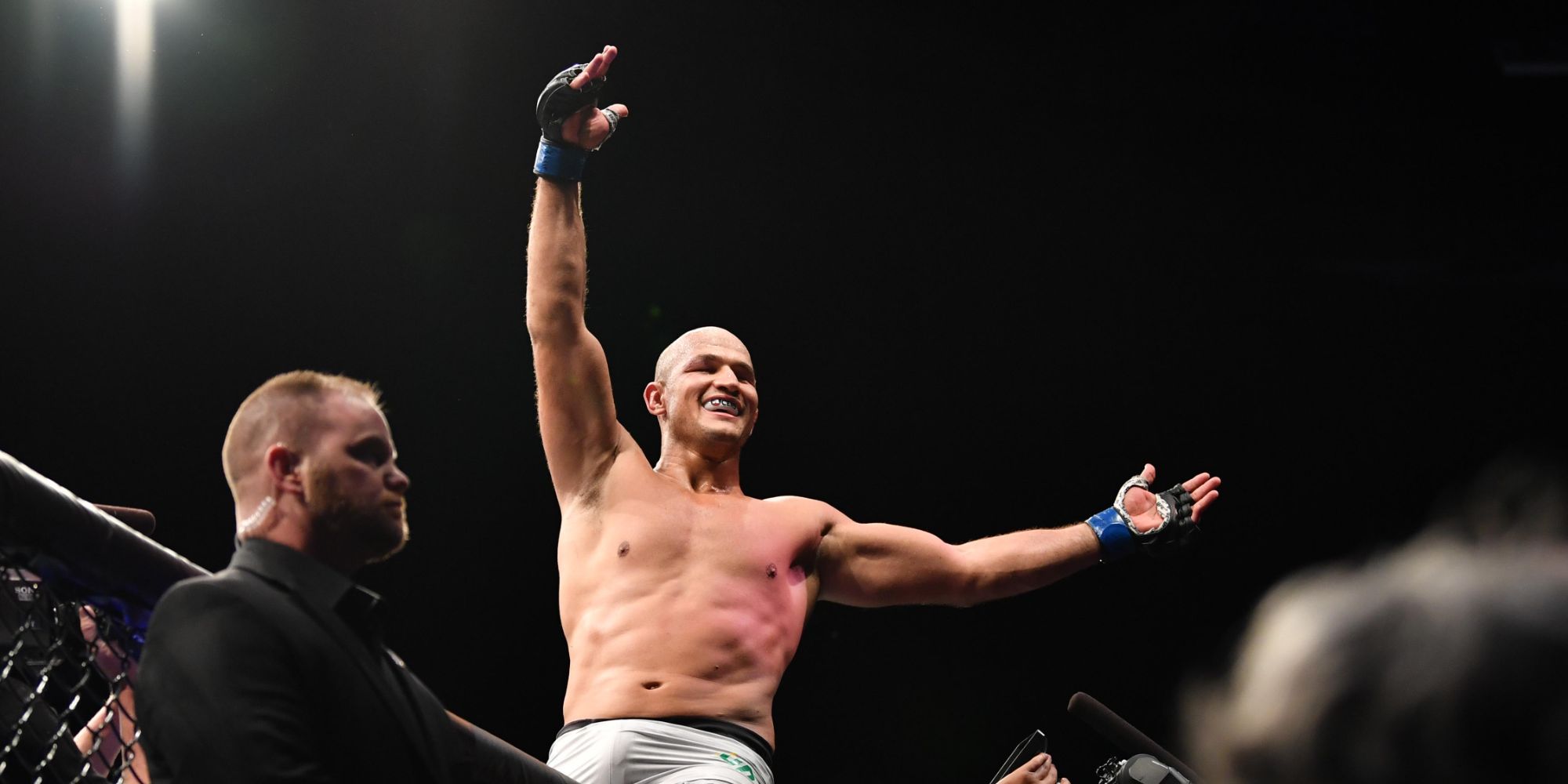 14 Best Heavyweights In MMA History, Ranked