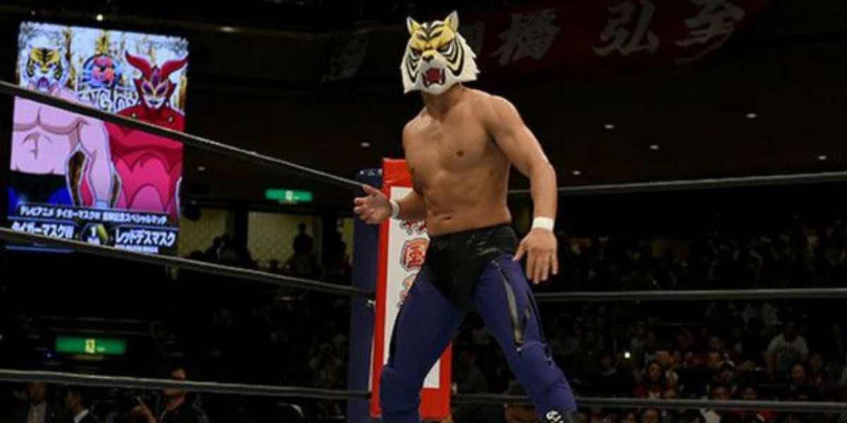 10 Crazy Japanese Wrestling Masks American Fans Have To See