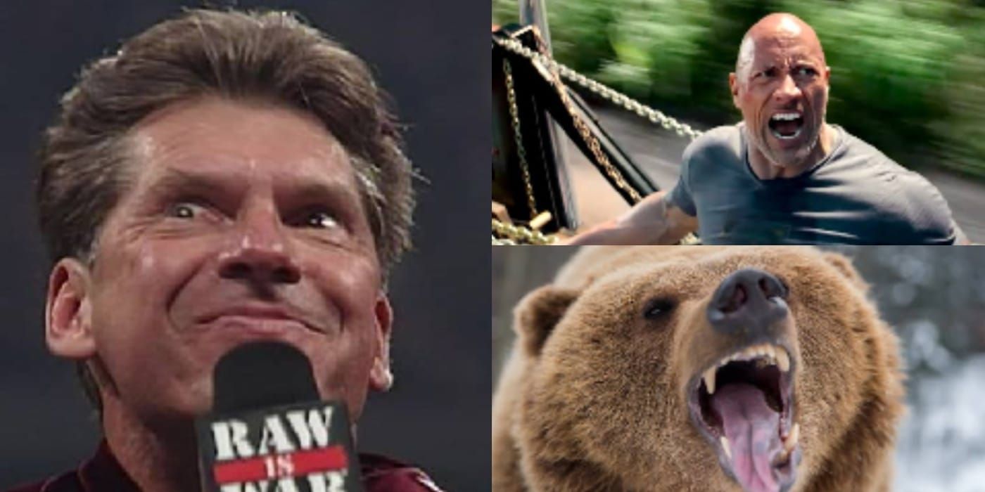 Vince McMahon Once Tried To Get The Rock To Fight A Bear