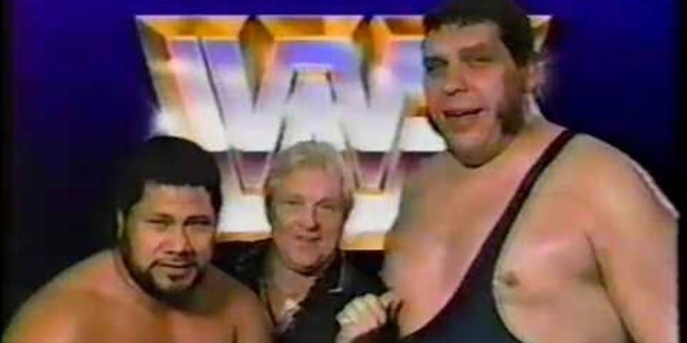 Haku & Andre The Giant: The Scariest WWE Tag Team Ever, Explained