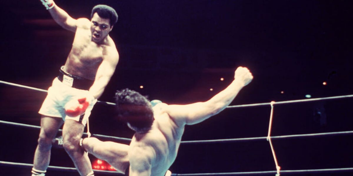 13 Story Pitches For Dark Side Of The Ring's Fifth Season