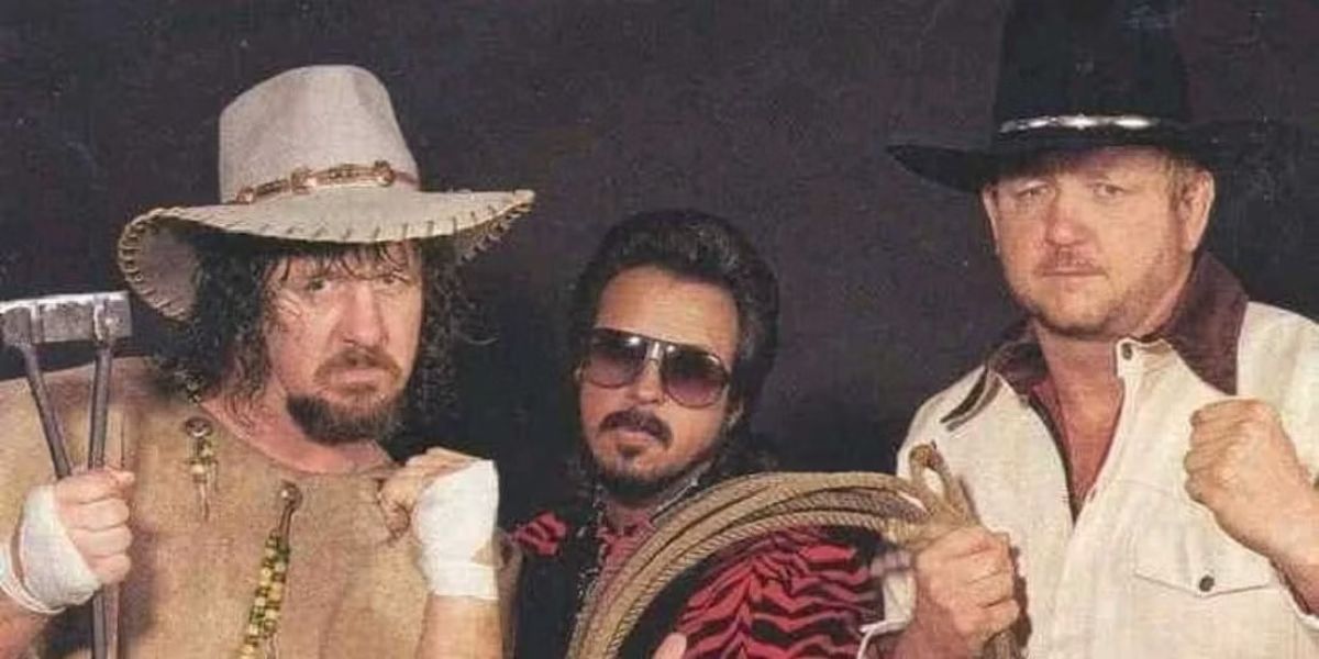 Every Tag Team In The WWE Hall Of Fame, Ranked Worst To Best