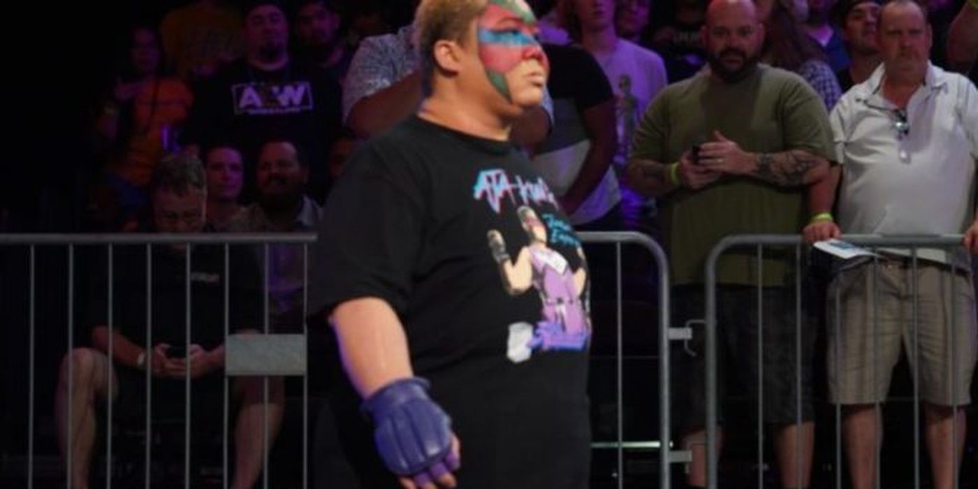 Forgotten WWE Divas From The 1990s: Where Are They Now?