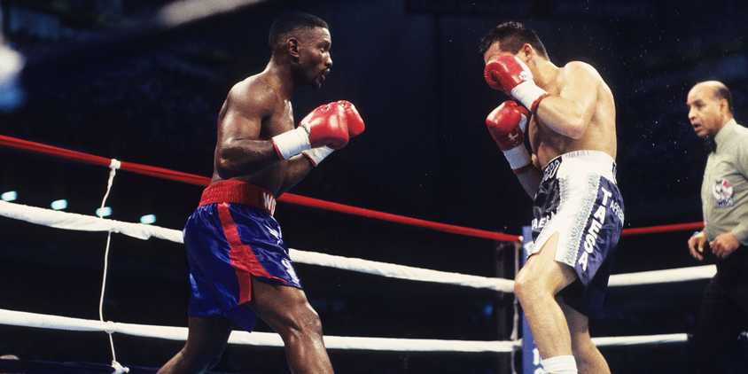 10 Best Russian Boxers, Ranked By Skill