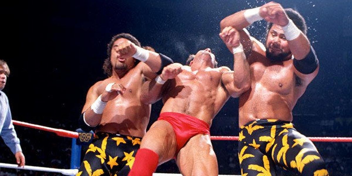 10 WWE Tag Teams From The Golden Era That Disappeared Into Oblivion