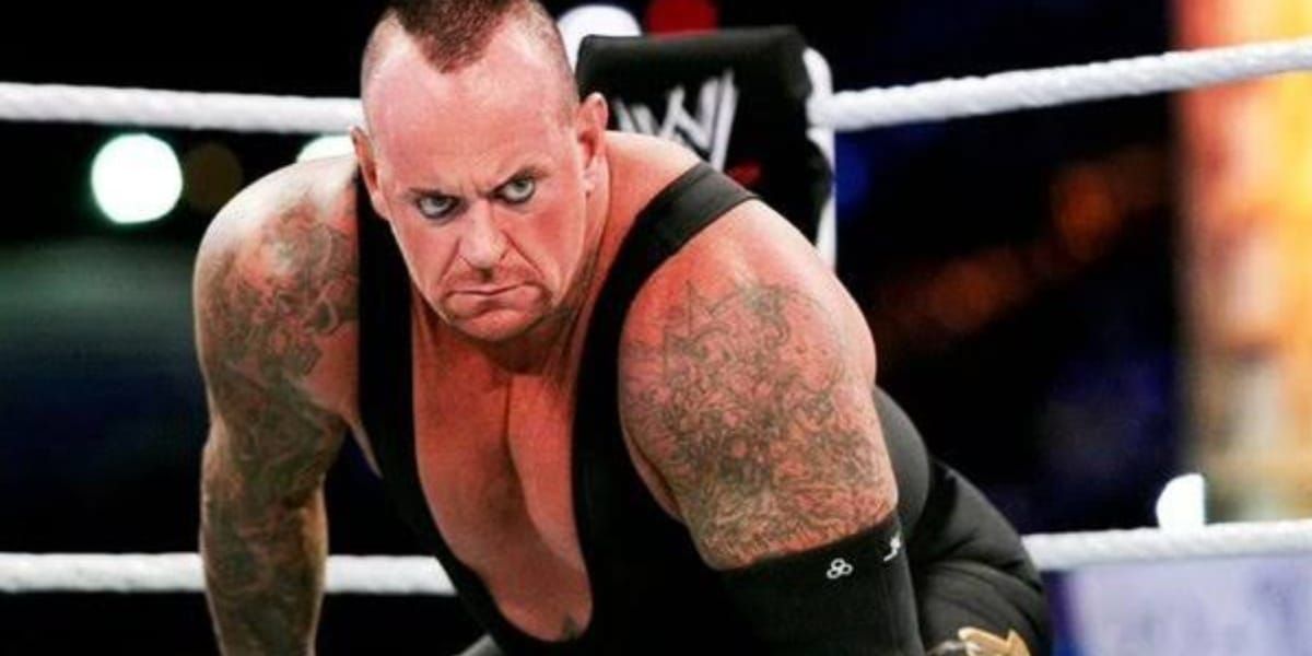 Why The Undertaker Never Fought For The UFC