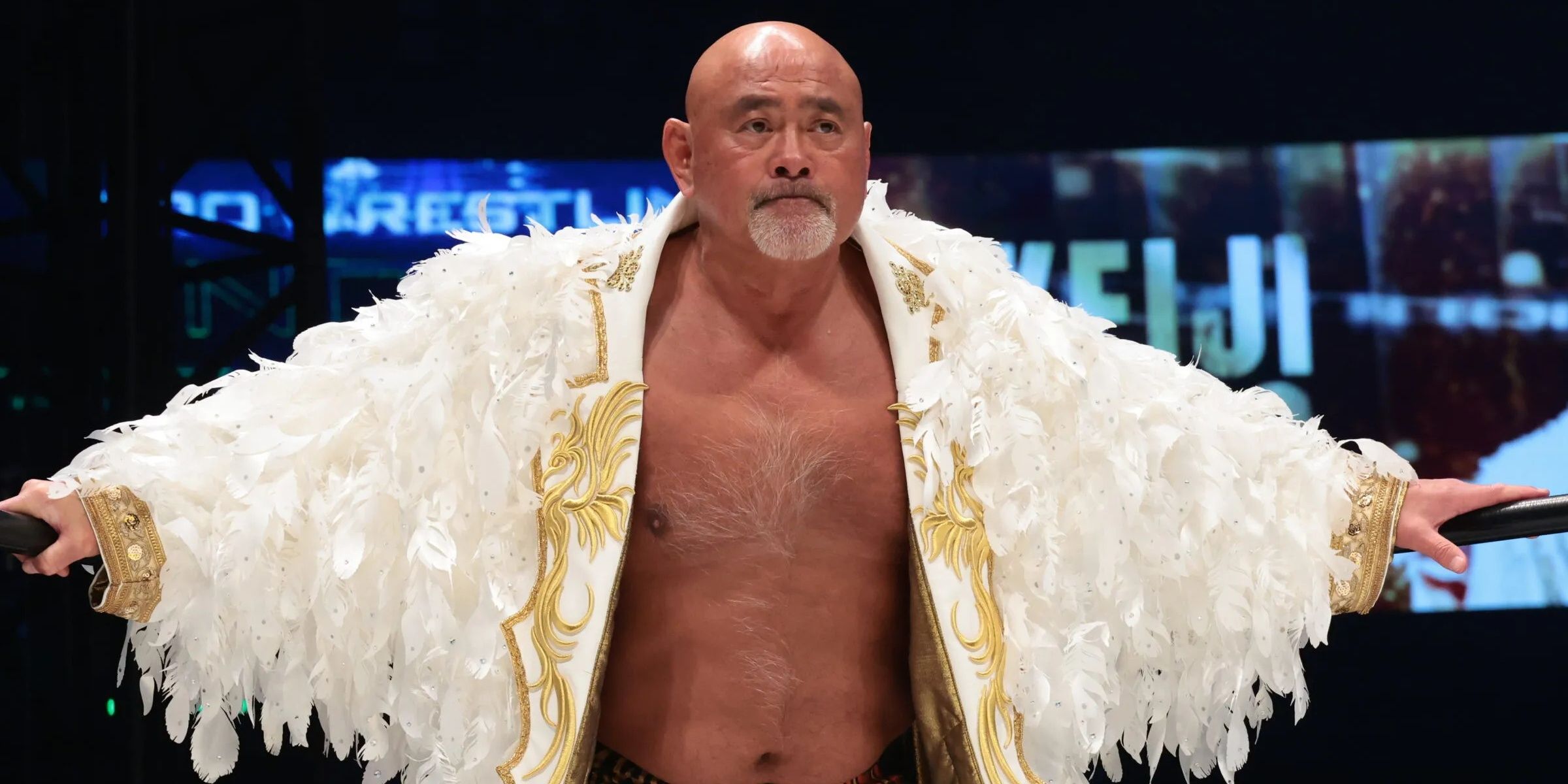 10 Oldest Wrestlers Who Competed On PPV In 2023, Ranked