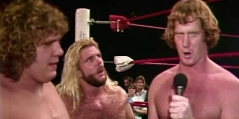 Best Tag Teams In WCW History, Ranked By Versatility