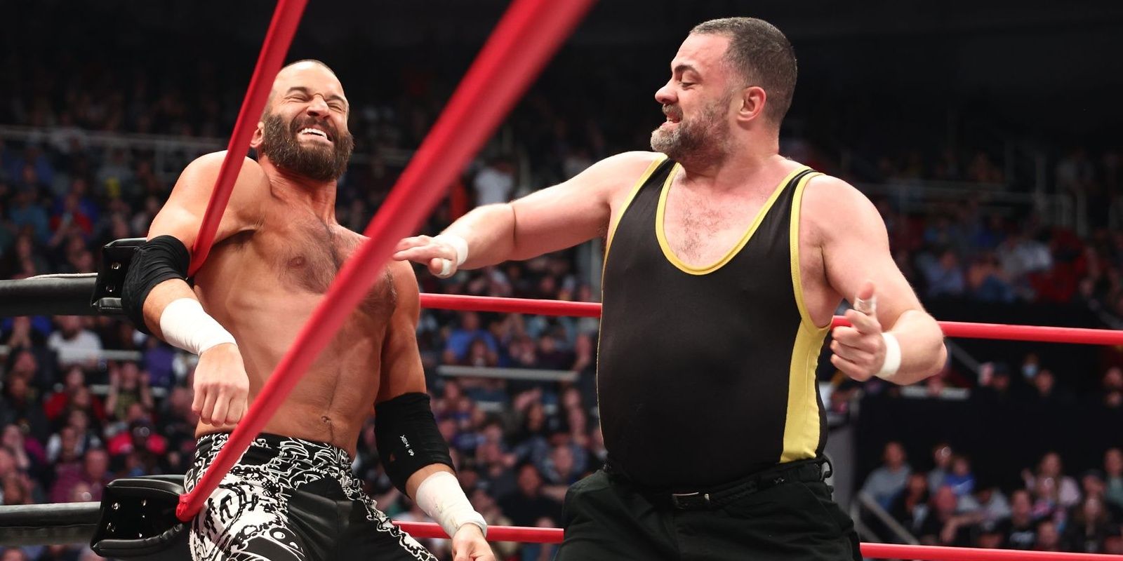 Ric Flair & 7 Other Wrestlers Notorious For Their Chops