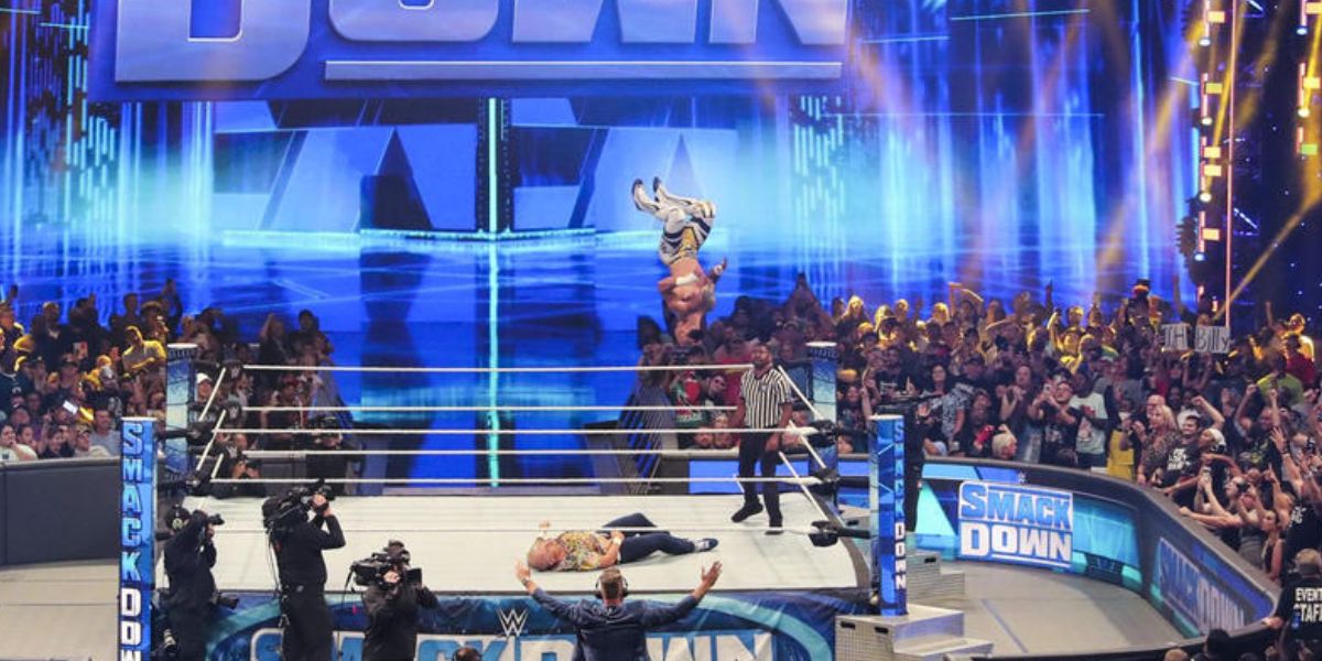 10 Coolest Looking WWE Finishers In History