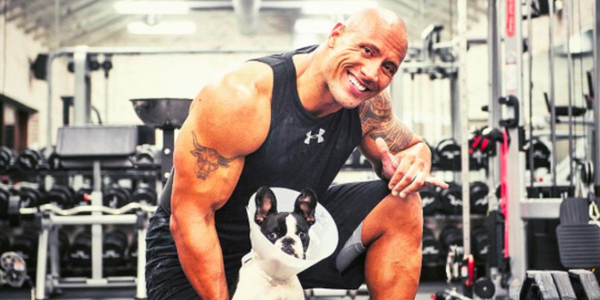 Dwayne The Rock Johnson: Age, Height, Relationship Status & More Things ...