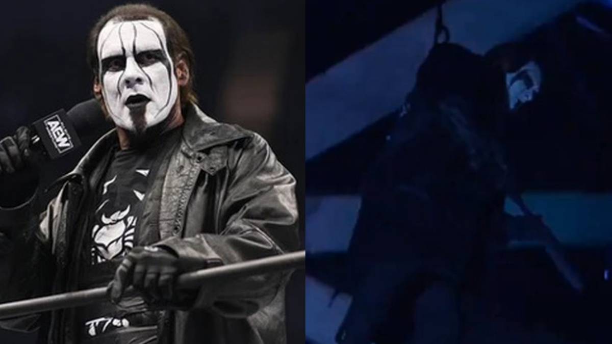 Sting Reveals What He Was Thinking Before Coming Down From The Rafters ...