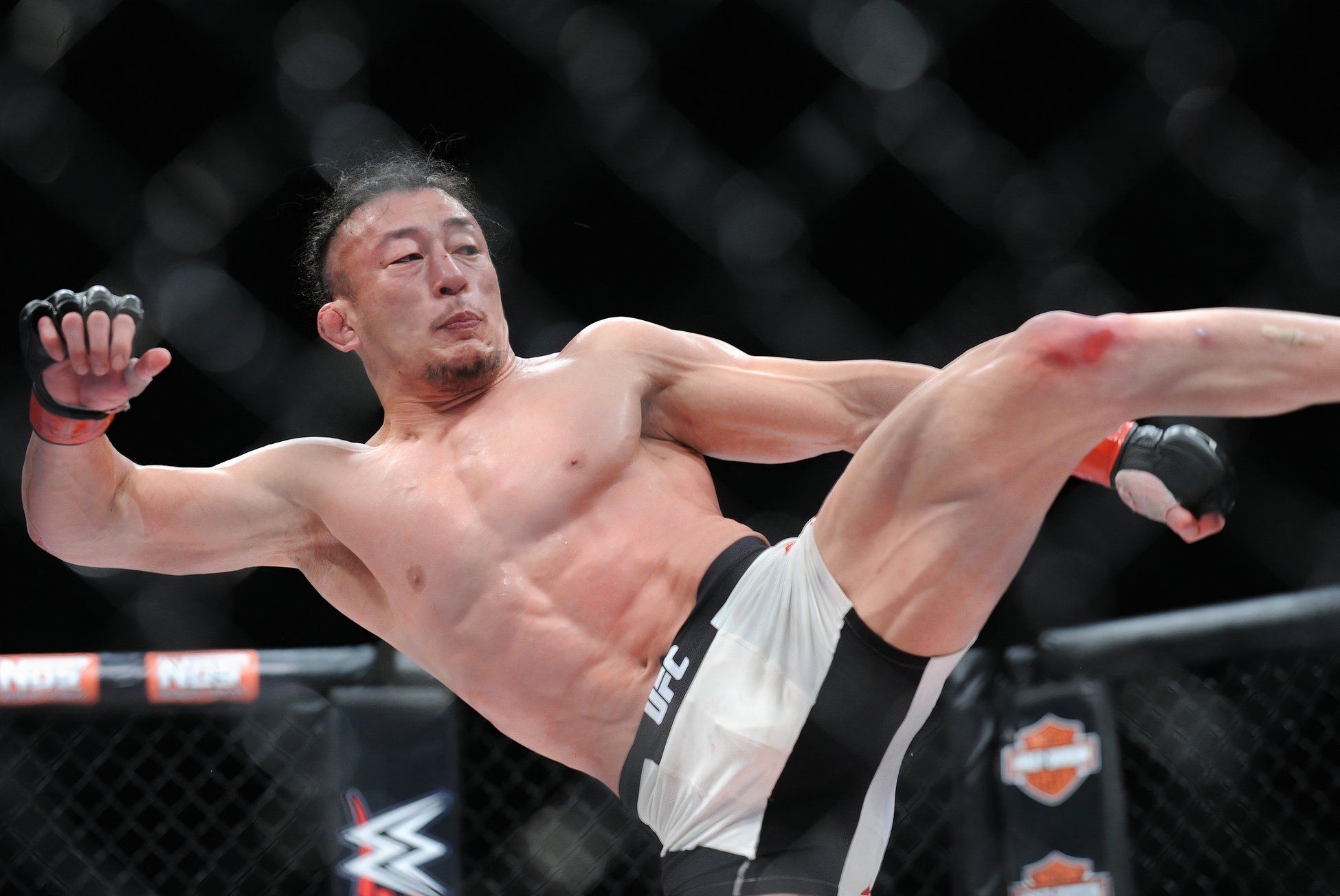 10 Best Japanese UFC Fighters, Ranked