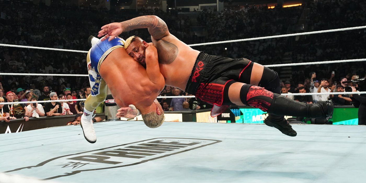 Wrestling Moves That Hurt The Person Performing Them