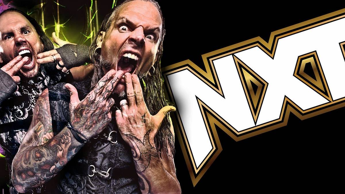 Will The Hardy Boyz Appear in TNA-NXT Invasion Angle? Report Gives ...