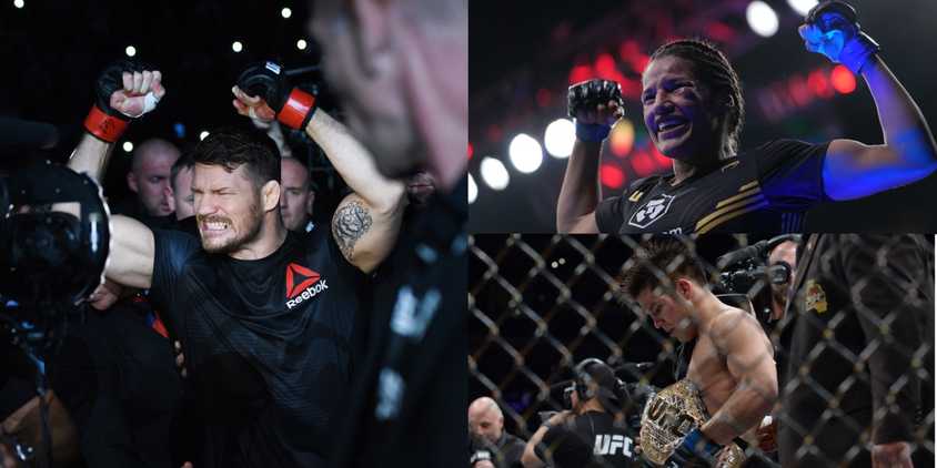 20 Best Heavyweights In MMA History, Ranked