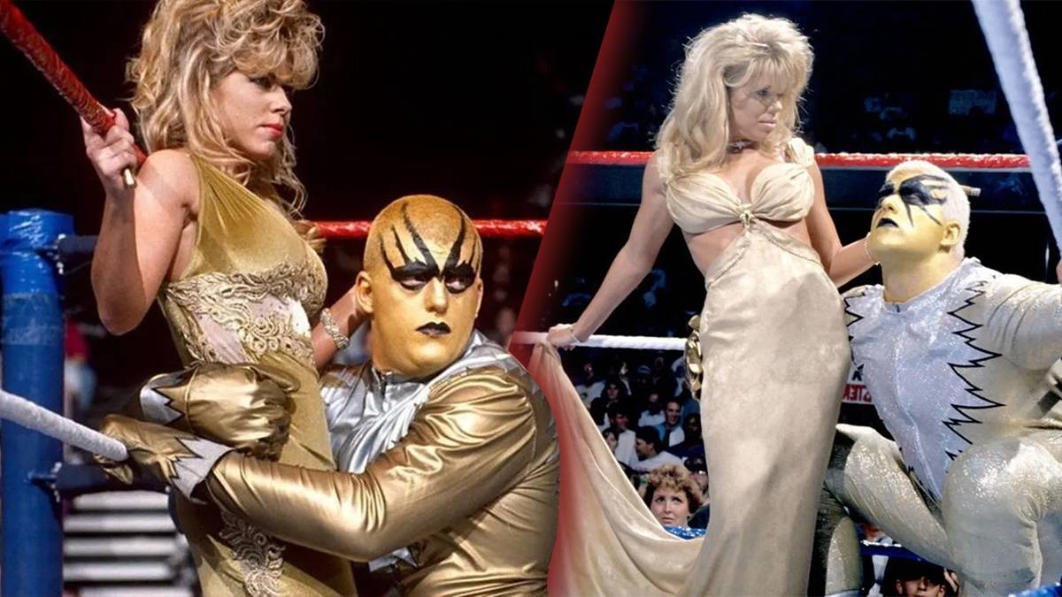 The Marriage Of Dustin Rhodes & Terri Runnels, Explained