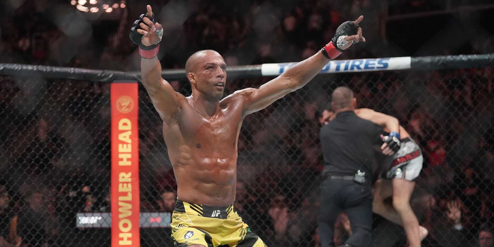 16 Fighters With The Most Knockouts In UFC History, Ranked