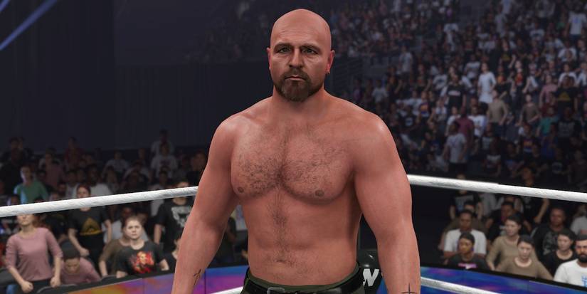 Best WWE 2K24 CAWs To Download