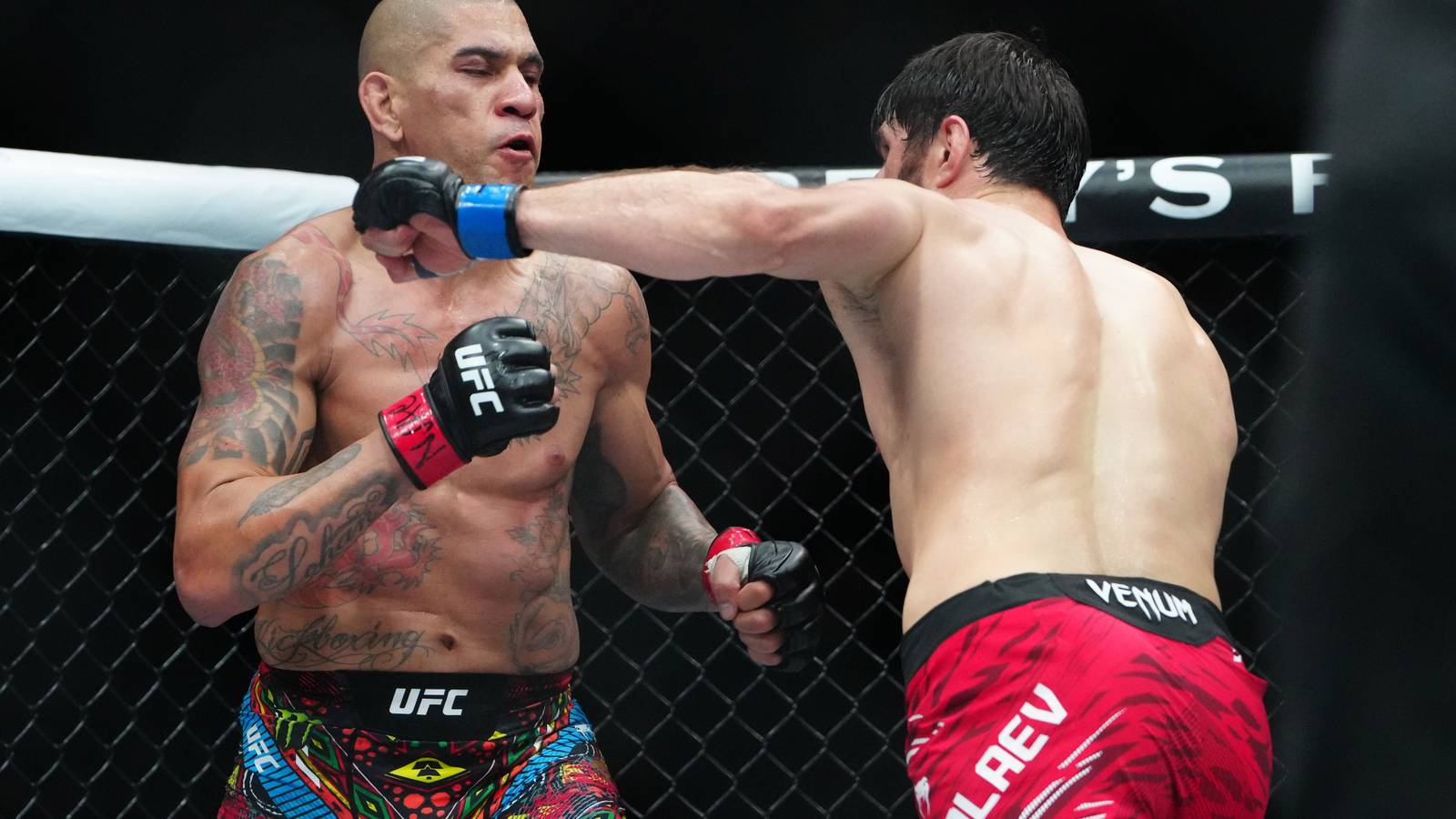 Alex Pereira vs. Magomed Ankalaev Fight Was Offered For UFC 317 During ...