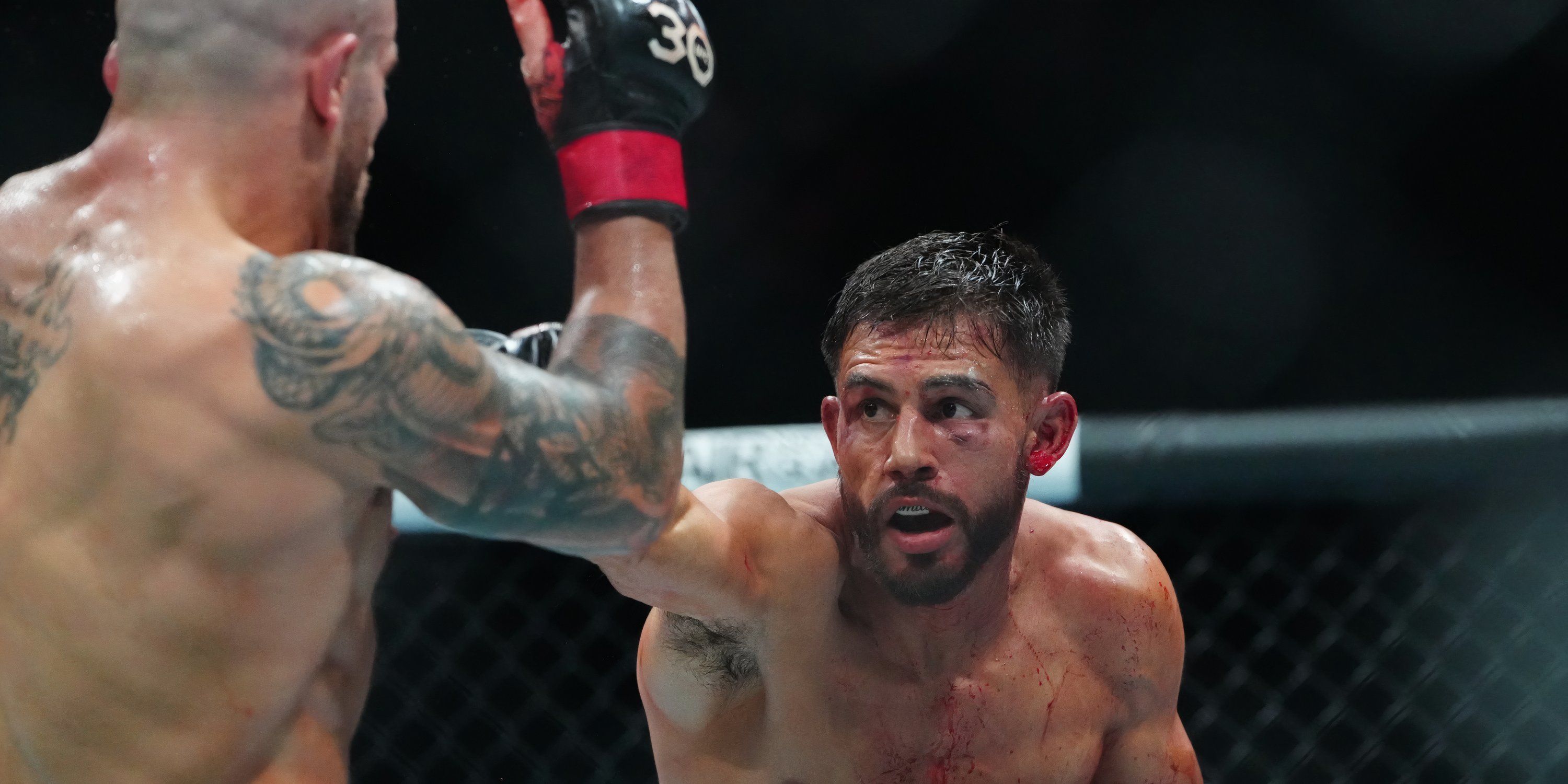 UFC 314: Yair Rodriguez vs Patricio Pitbull Prediction, Betting Odds ...