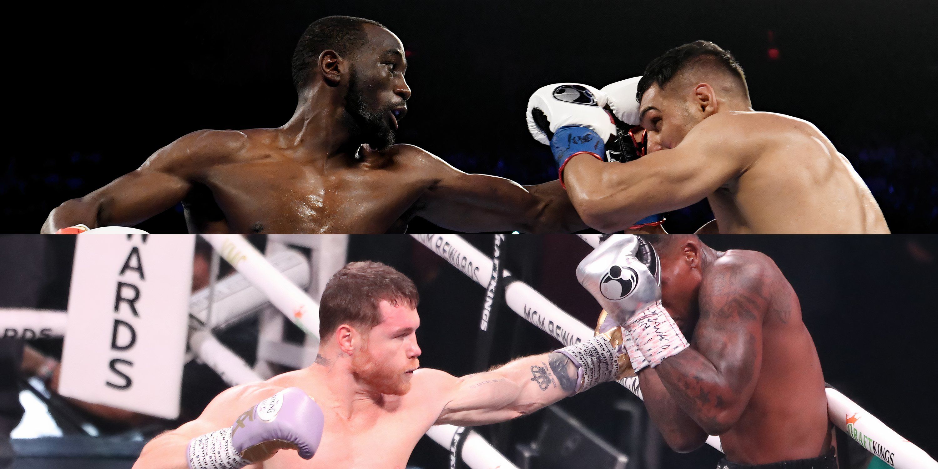 Canelo's Next Fight Vs. William Scull Is His Main Priority, Not Terence ...