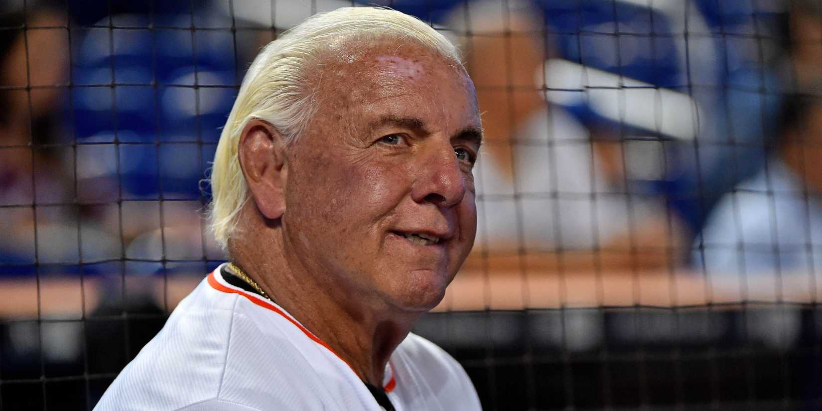 Biggest Stars In WWE History: When Was Their First & Last Match In ...