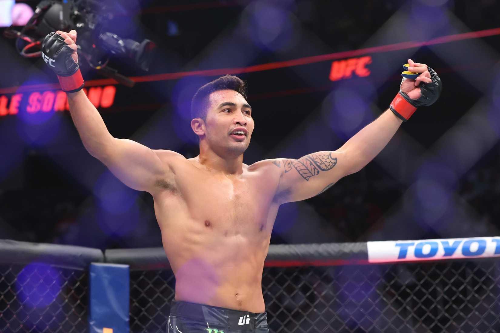 10 Largest Striking Differentials In UFC History, In A Single Fight