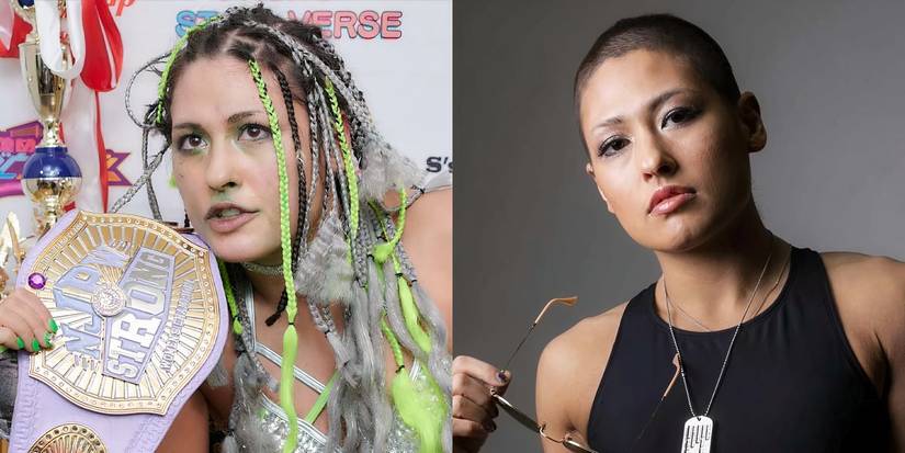 Hair Vs. Hair Match: What Pro Wrestlers Looked Like Before & After
