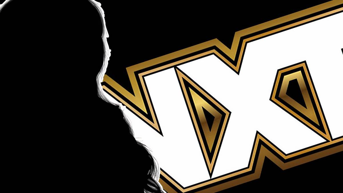Recently Released WWE Star Back With Company In New Role