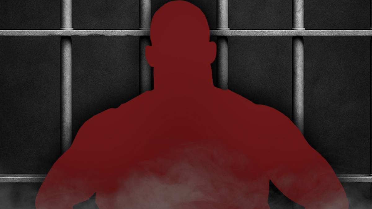 "Stone Cold" Steve Austin Was Arrested for Assaulting His Famous Wife