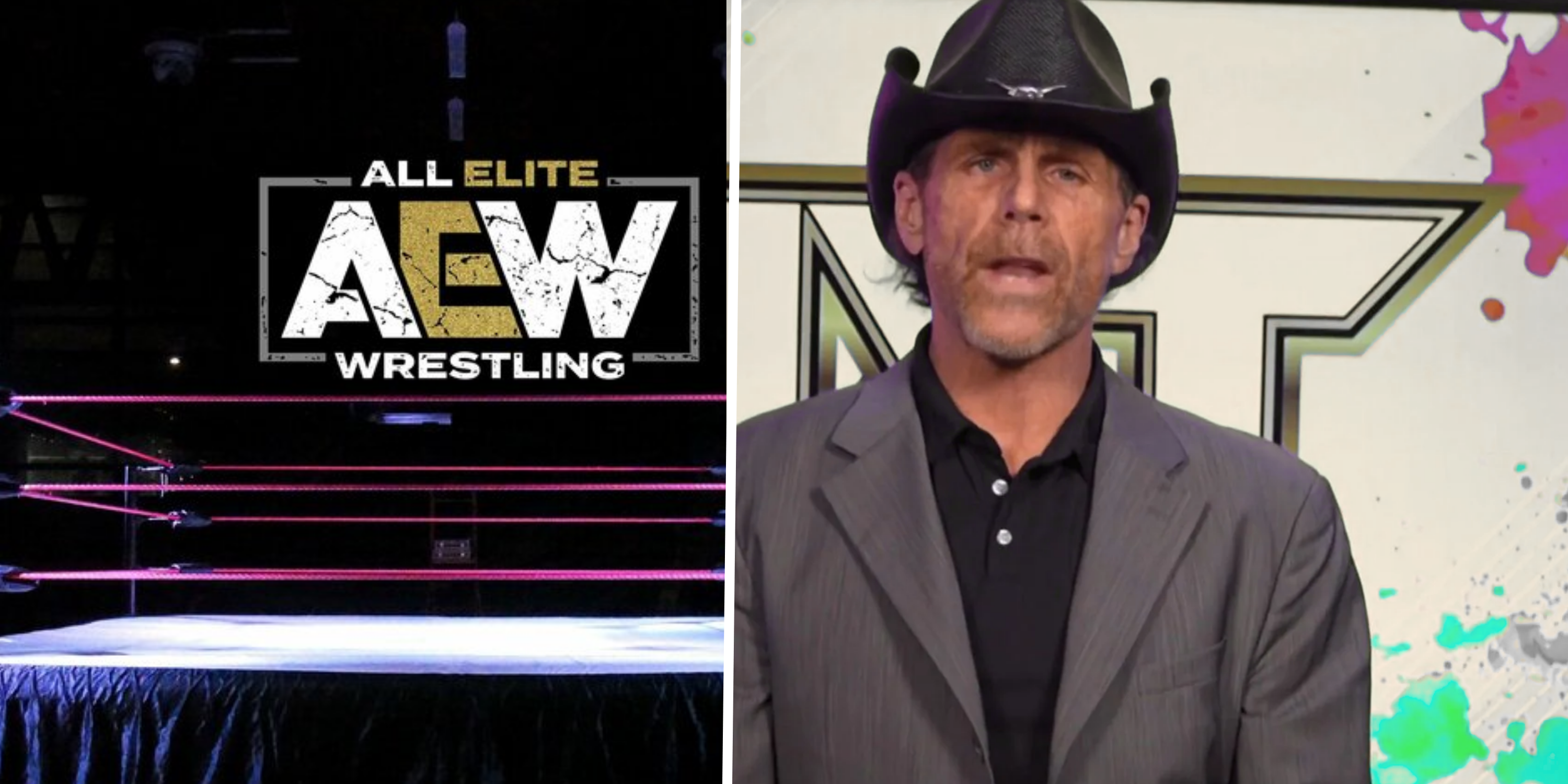 Rick Rude Vs. Sting: How A WCW Backstage Fight Ended With A Gun Being ...