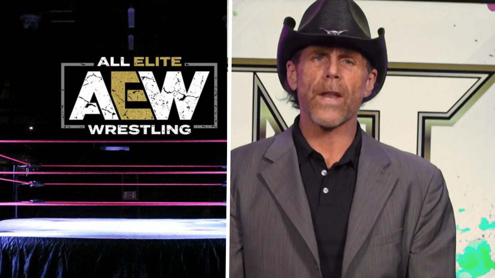 Fans Tip AEW Star Anna Jay To Join WWE and ‘Take Over’ NXT