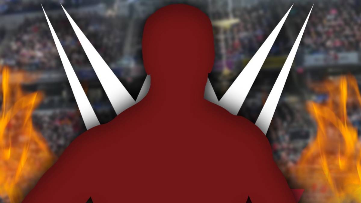 This Popular WWE Star Was Fired for Violating the PG Rating