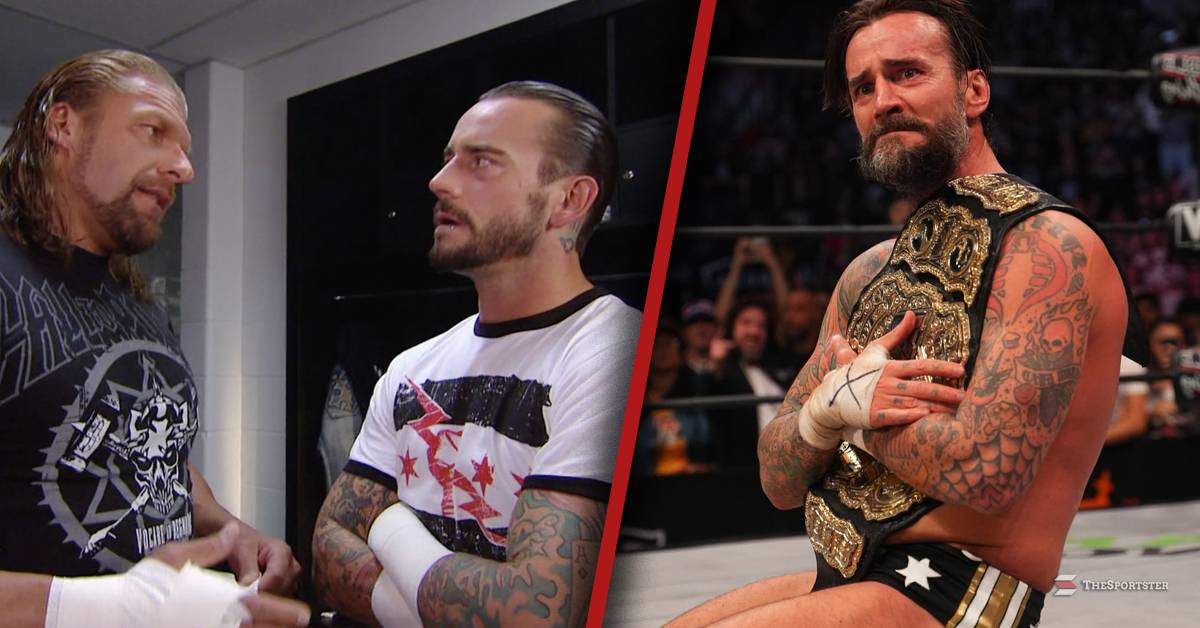 10 Harsh Realities Fans Of CM Punk Need To Realize