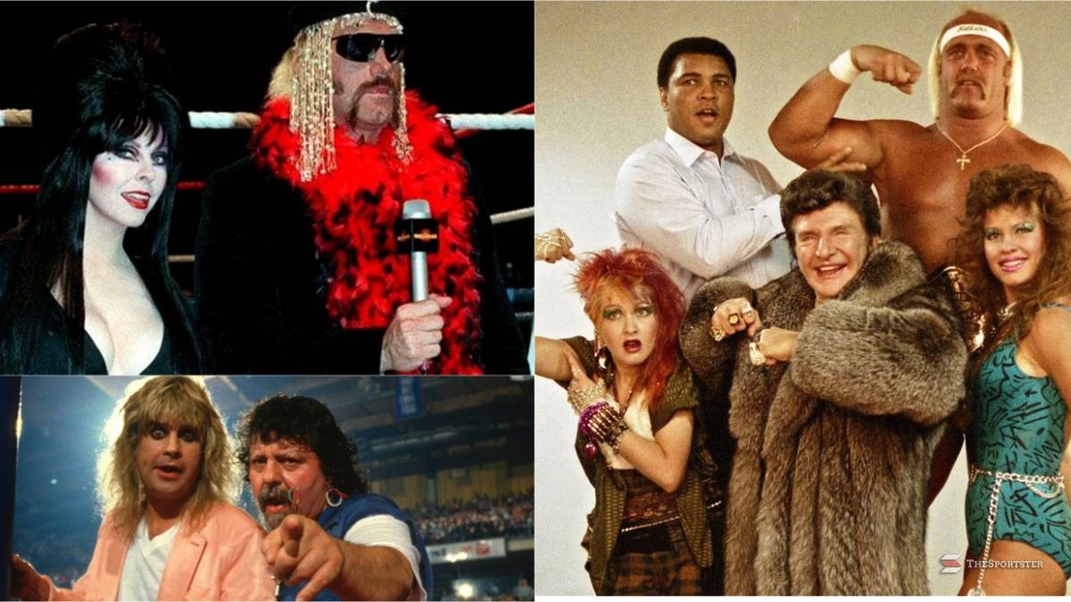 Random WWE Golden Era Celebrities