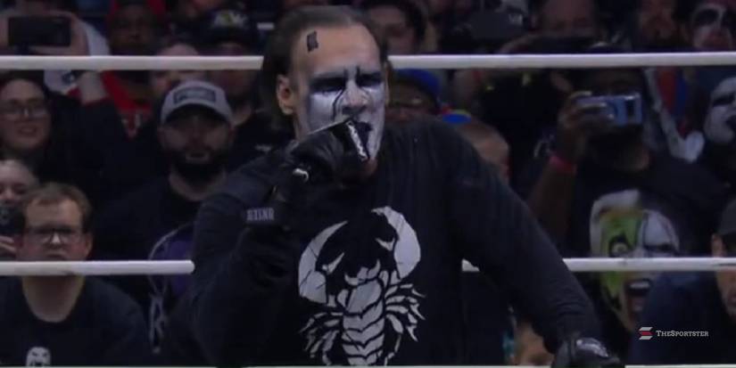 Sting Speaks About The Roles He Doesn't Want In AEW Following His ...