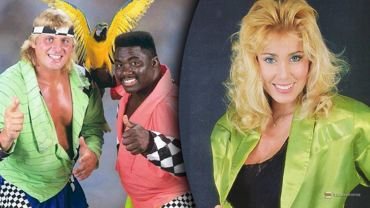 WWE Golden Era Missed Opportunities