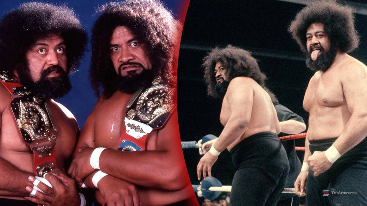 Backstage Stories About WWE's The Wild Samoans