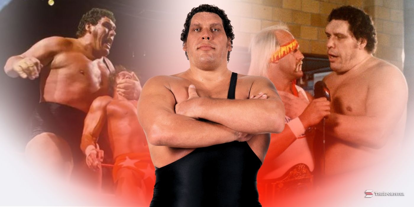 Best WWE Studios Movies, Ranked