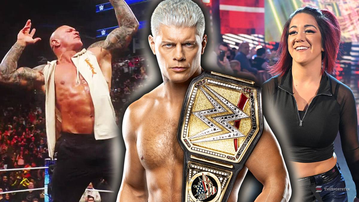 Wrestlers With The Best Selling In WWE Right Now, Ranked