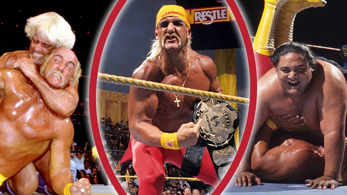 Why Hulk Hogan Left WWE In 1993, Explained