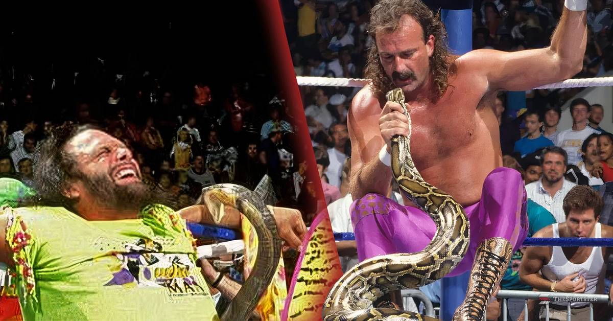 king cobra attack man