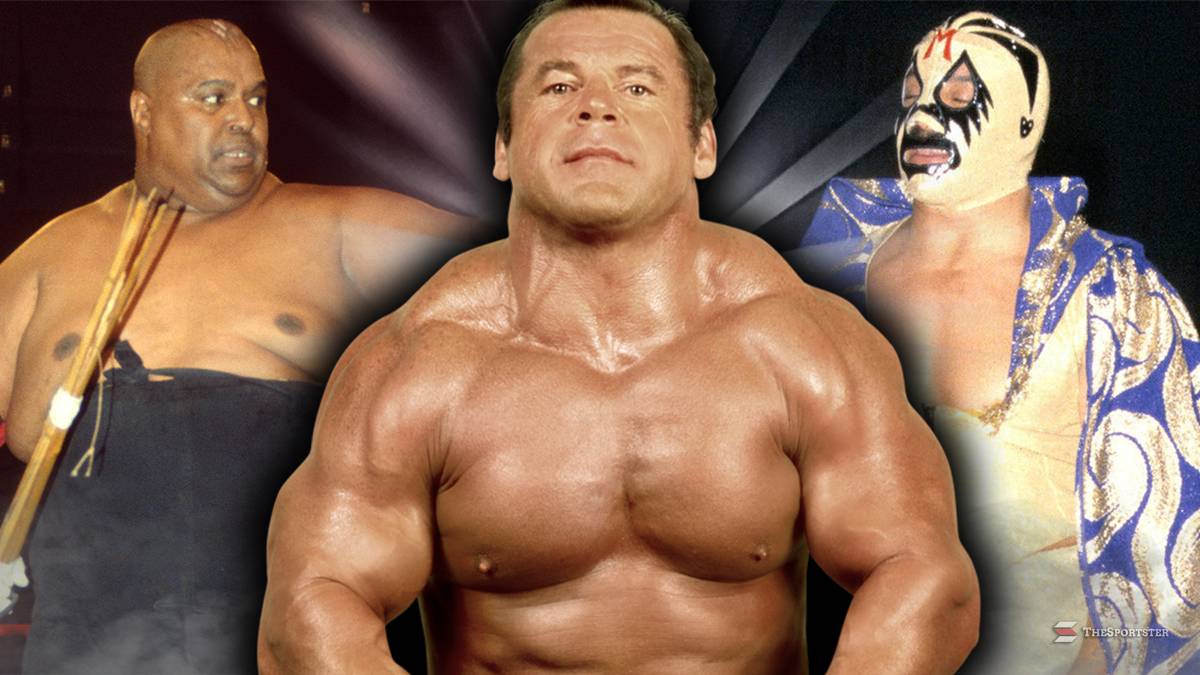 Oldest Living Wrestlers In The WWE Hall Of Fame