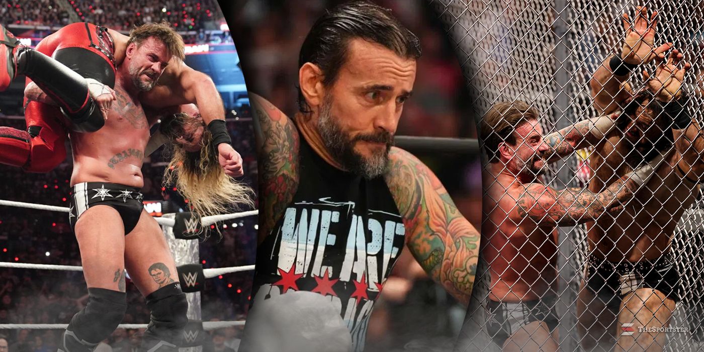 CM Punk's Overall Wrestling Skills, Broken Down In Categories